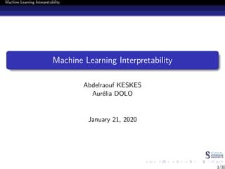Machine Learning Interpretability Explainability PDF Artificial Intelligence Technology