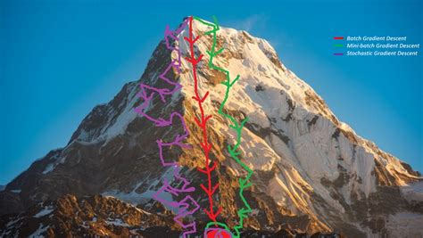 Batch Stochastic And Mini Batch Gradient Descent Algorithms By Tanya