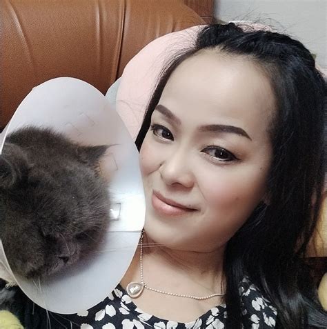 ကြောင်ချစ်သူများဆုံဆည်းရာ