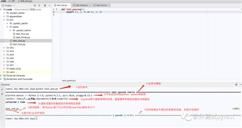 pytest运行及其控制台输出信息 pytest输出信息 csdn博客