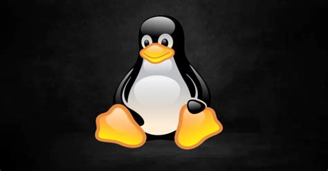 12 terminal commands every developer should know by esther vaati