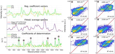 Lt1 And Lt3 Regression Coefficient Vectors Are Expected Variations Of