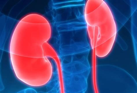 სიმპტომები რომლებიც შესაძლო თირკმლის უკმარისობაზე მიგითითებთ რჩევები ვივიენისგან