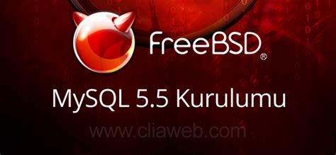 freebsd 9 x mysql 5 5 kurulumu