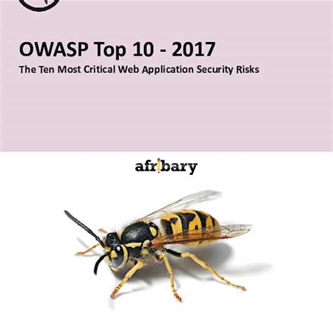 The Ten Most Critical Web Application Security Risks Afribary