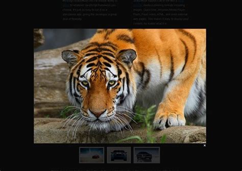 Magnificent Pop Ups Free Jquery Lightbox Plugins ⭐monsterspost