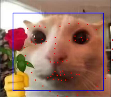 Facial Keypoint Detection By Regression And Pixelwise Classification Itsublog