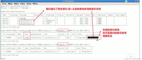 索引1单表优化 csdn博客