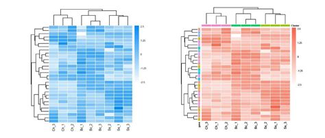 R语言绘图教程 如何绘制“漂亮”的热图？ 知乎