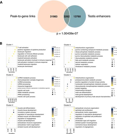 Figures And Data In The Single Cell Chromatin Accessibility Landscape