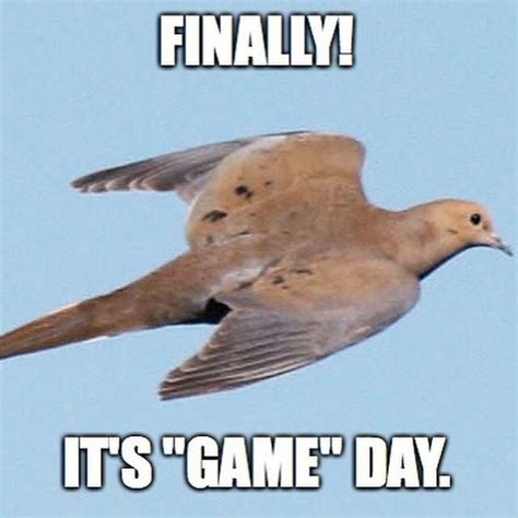 Dove Hunting Humor