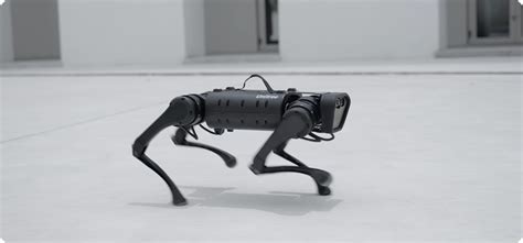 Unitree A1 Highly Integrated Pushing Limits Unitree Robotics