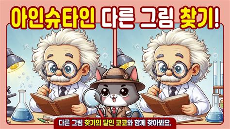 다른그림찾기 513아인슈타인 다른 그림 찾기 두뇌운동치매예방 Youtube
