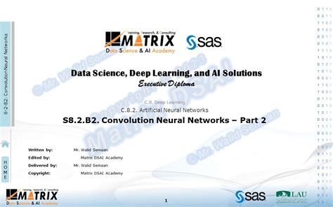 Cnn Feedforward Neuralnetworks Gradientdescent Perceptron Python Walid Semaan