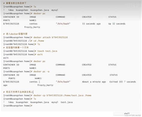 docker06 docker进入当前正在运行的容器和拷贝命令 docker 容器中的文件正在使用 csdn博客