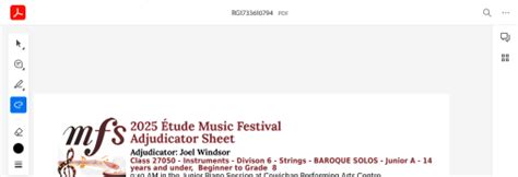 Annotations On Adobe Pdf Embed Api Not Working On Some Tablets Stack
