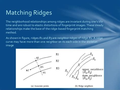 Fingerprint Matching Using Ridge Count