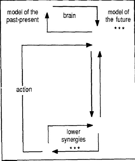 Stochasticity In Bemsteins Physiology Download Scientific Diagram