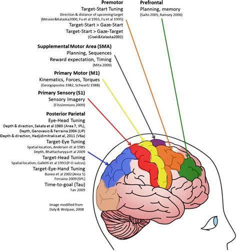 Invasive Braincomputer Interfaces For Functional Restoration