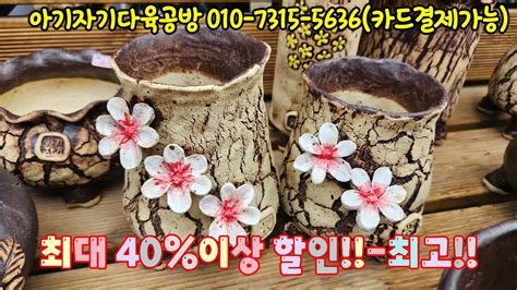 💥최대 40이상 할인된 노마진의 최고의 화분을 득템하세요~♡ Succulentplantpot Youtube