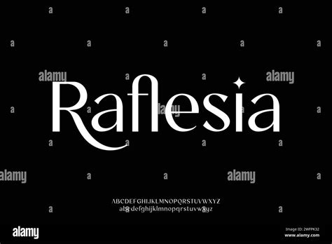 Elegant Luxury Sans Serif Alphabet Display Font Vector Beautiful Typeface Stock Vector Image