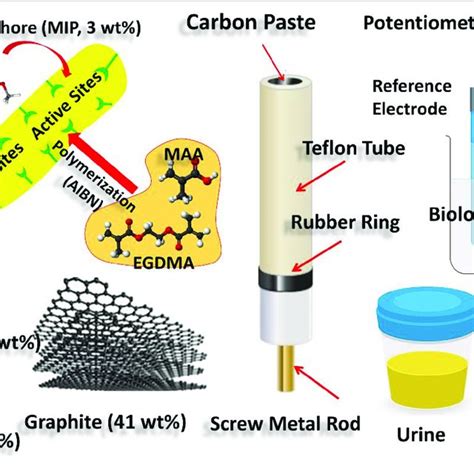 Schematic Representation Showing Experimental Work I Synthesis Of