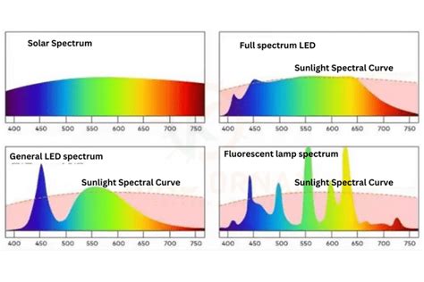 Kingornan Lighting Academy Series Article 1 Full Spectrum Kingornan