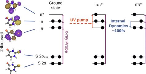 Direct Observation Of The ππ To Nπ Transition In 2 Thiouracil Via Time Resolved Nexafs