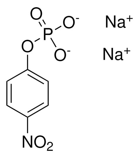 P Nitrophenyl Phosphate Hydrolysis To P Nitrophenol