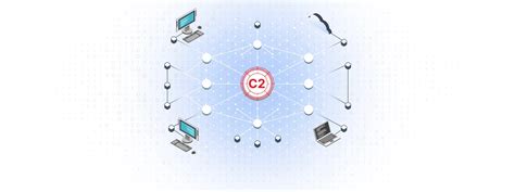 What Are C2 Nodes How Do They Work
