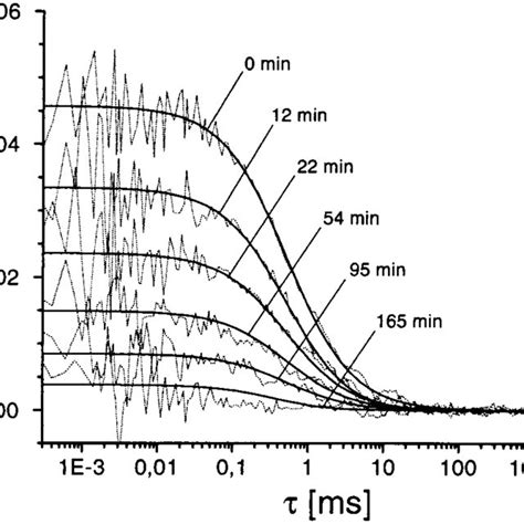 Cross Correlation Curves At Different Time Points During An