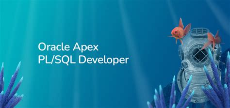 Oracle Apex Plsql Developer Lanaco