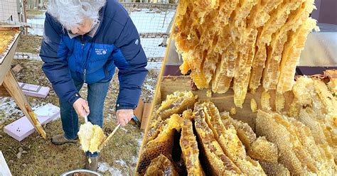 Creations Touch Sisters Explore The Makings Of A Pollination Habitat Sisters Of The Holy Cross