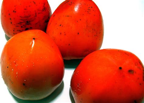 Persimmon Fruit Hometown Free Photo On Pixabay