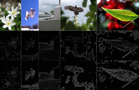 The Sparse Map Comparison Where The Top Row Is The Input Image The