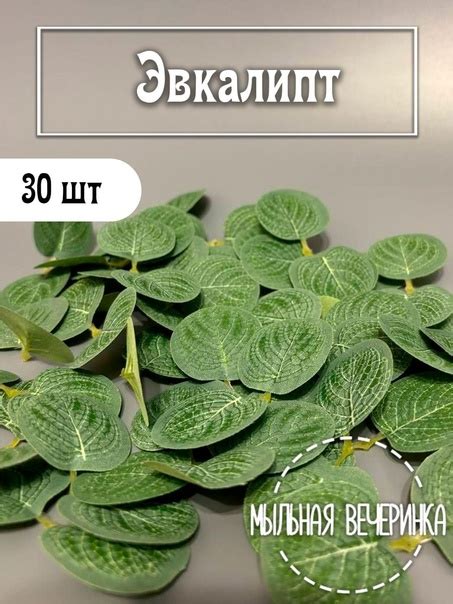 Осока самшит эвкалипт и незабудки популярные вставочки комплектами по 30 шт В наличии