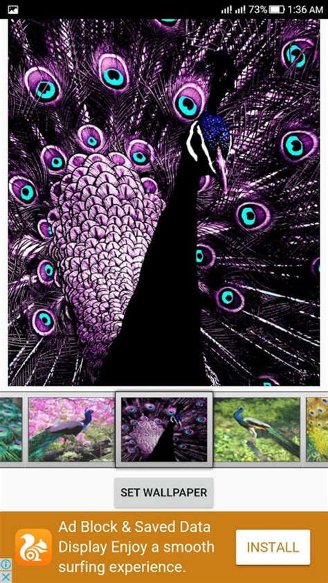 Peacock Live Wallpaper Apk For Android Download