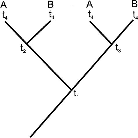 A Cladogram With Nodes Dated By Use Of A Molecular Clock Note How A Cladogram With Nodes Dated By Use Of A Molecular Clock Note How