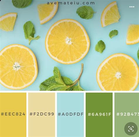 20 Summer Color Palettes And Hex Codes Artofit