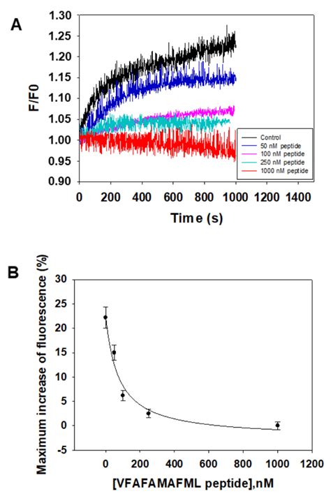 The Synthetic Peptide Vfafamafml Amidated C Terminus Amino Acid