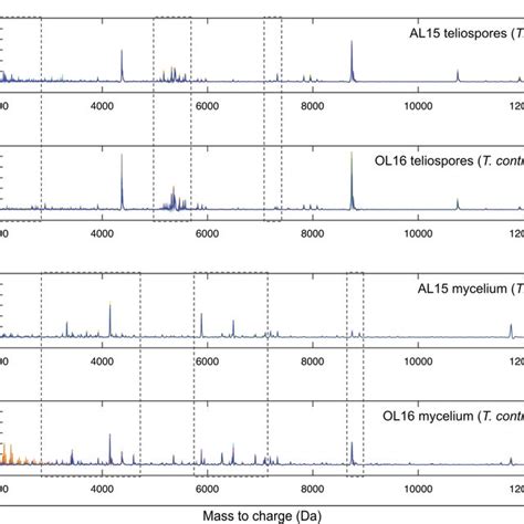 Stacked View Of Maldi Tof Ms Spectra Visualizing The Comparison Of Download Scientific Diagram