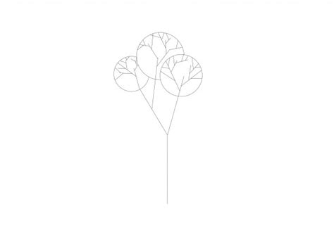 Tree Elevation Free Cads