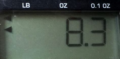 Understanding Passive STN Segment Alphanumeric And Graphic Displays