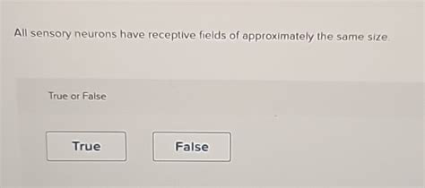 Solved All Sensory Neurons Have Receptive Fields Of