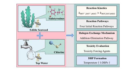 Reactivity Pathways And Iodinated Disinfection Byproduct Formation During Chlorination Of