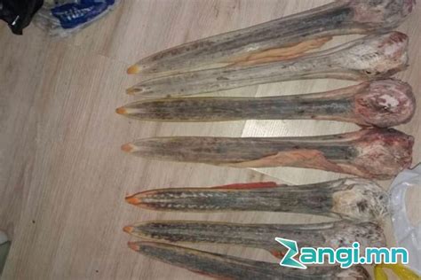 Zangi Mn Хотон шувууны хошуу зарна гэсэн мэдээллийг шалгаж зарыг устгуулжээ