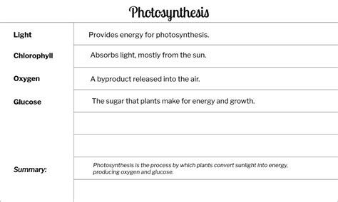 Free 1 2 Index Card Template To Edit Online