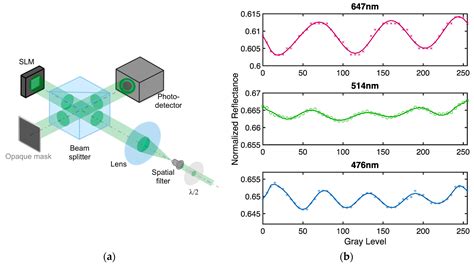 applied sciences free full text liquid crystal spatial light