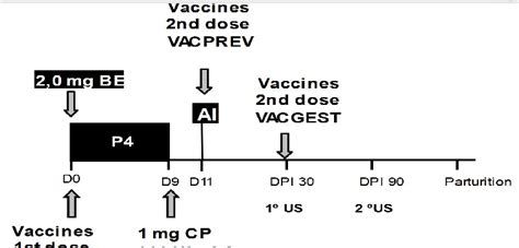Experimental Design Of Ftai Vaccination Protocols In Experiment 2 Ftai