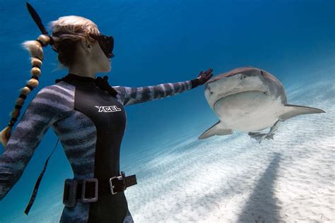 Shark Diver Tries To Prove That Sharks Arent Monsters Exclusive